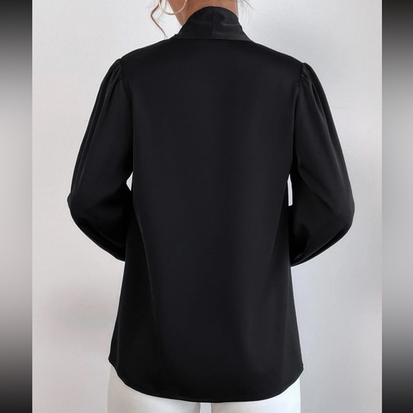 Tops | Luxe Tie Neck Satin Work Blouse | Poshmark